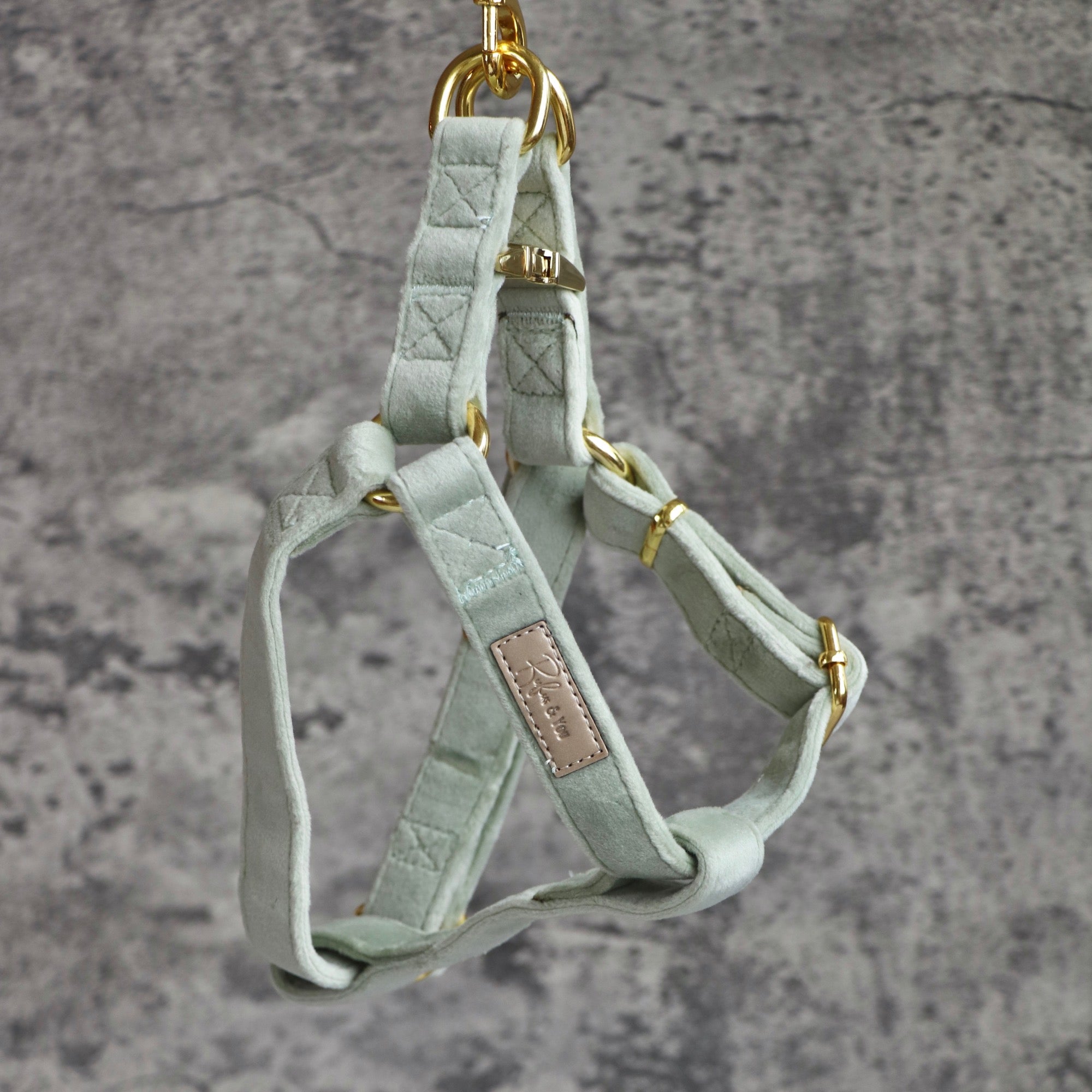 Step in Harness - Eucalyptus – Rufus & You